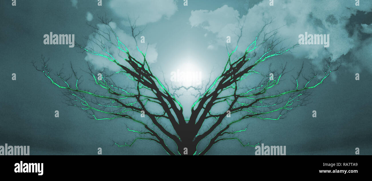 Mystic Tree of Life. Sunset or Sunrise Stock Photo - Alamy