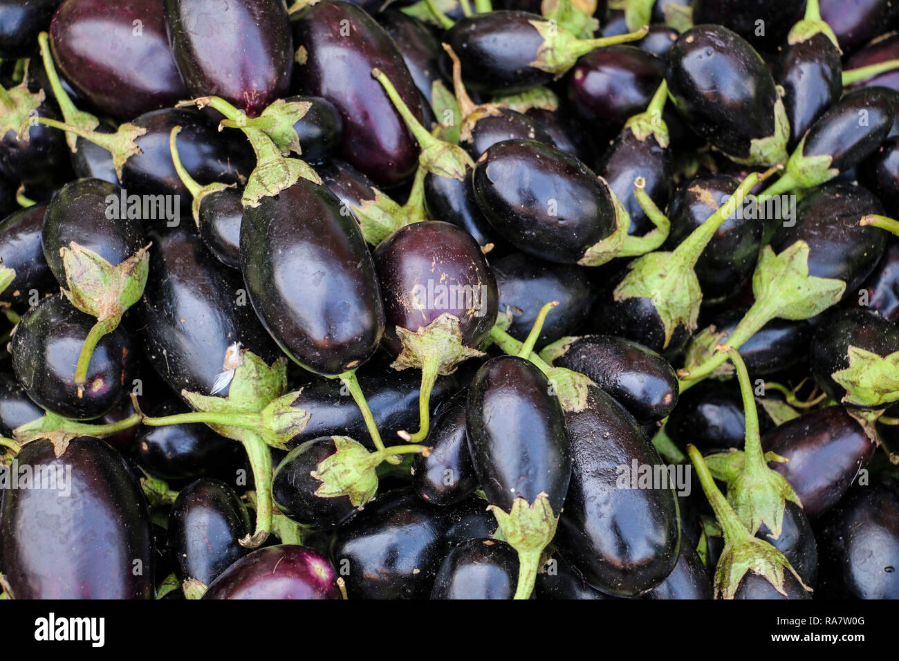Close up view eggplants hi-res stock photography and images - Alamy