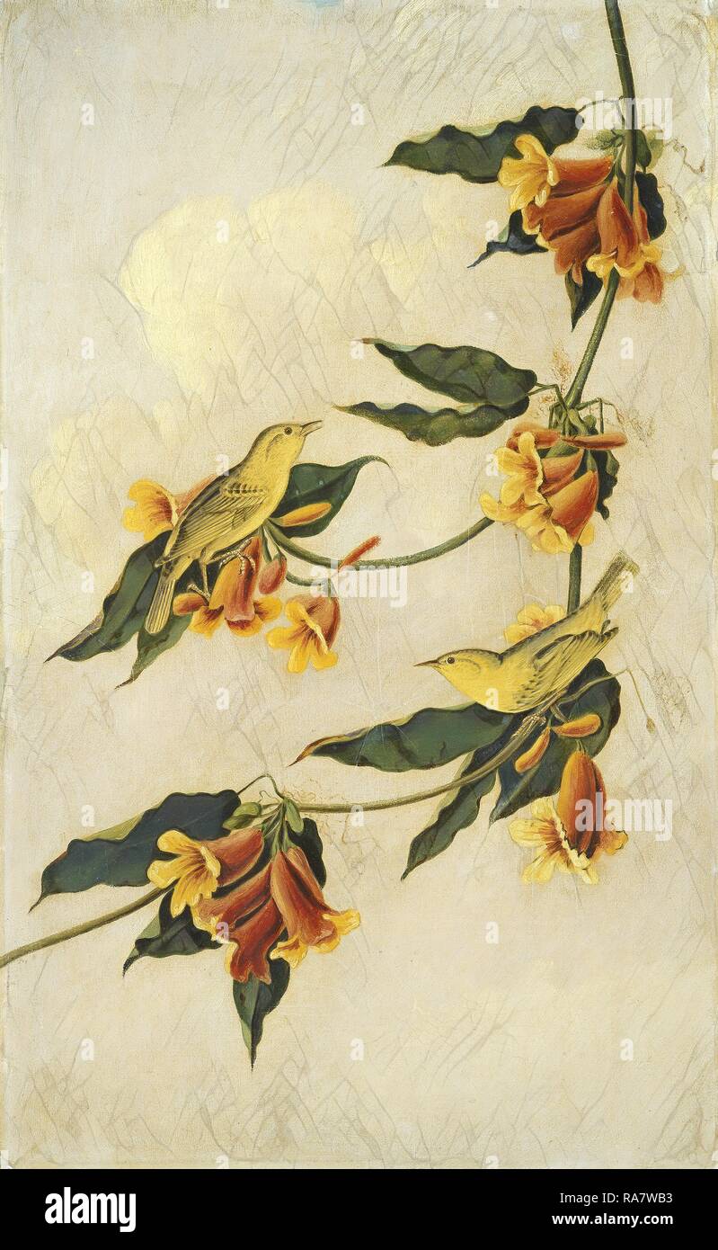 Joseph Bartholomew Kidd after John James Audubon (Scottish, probably ...