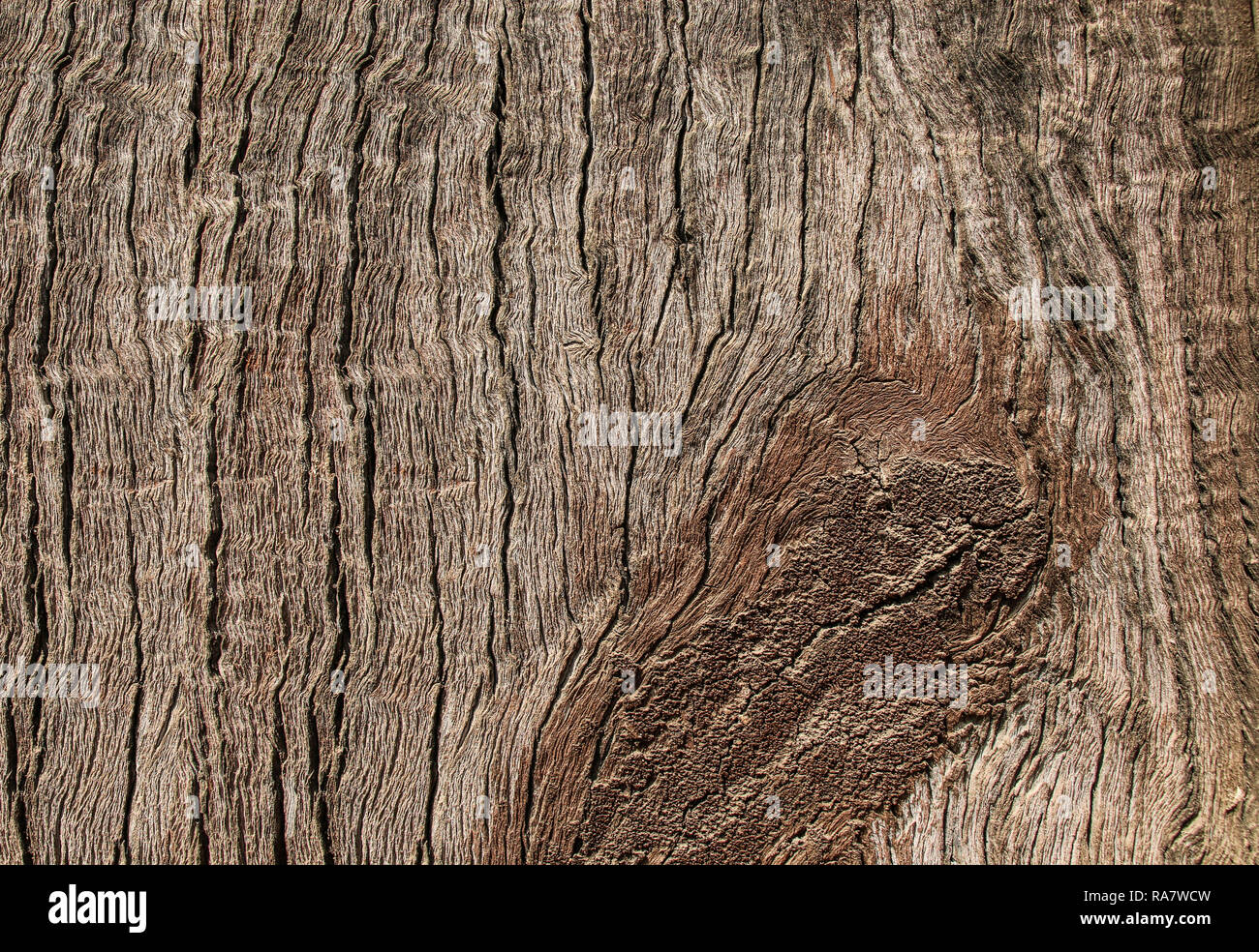 Brown wood texture with natural pattern.Close-up Stock Photo - Alamy