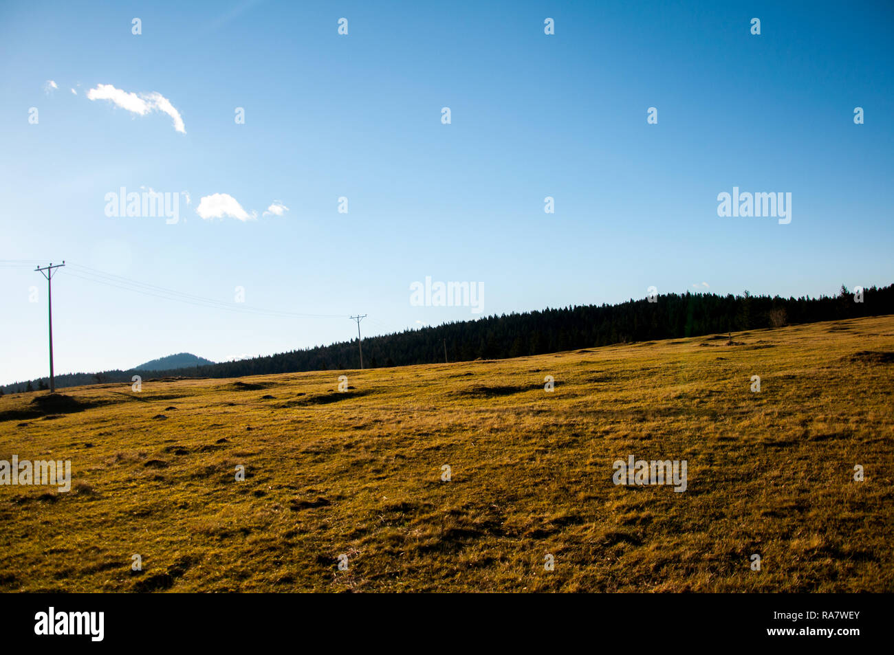 Vlasic bosnia hi-res stock photography and images - Alamy