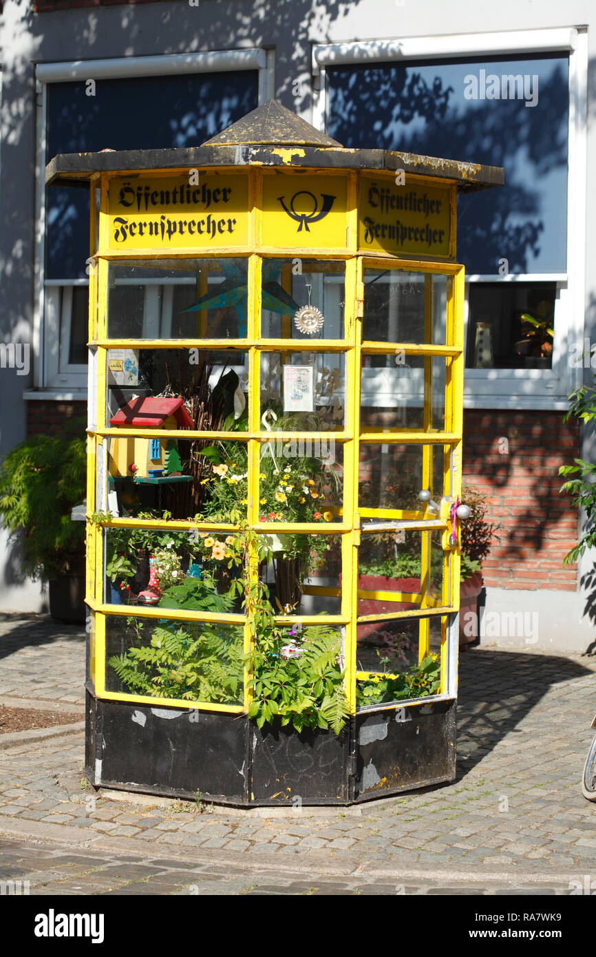 Old yellow telephone box as a greenhouse in Bremer Schnoorviertel ...