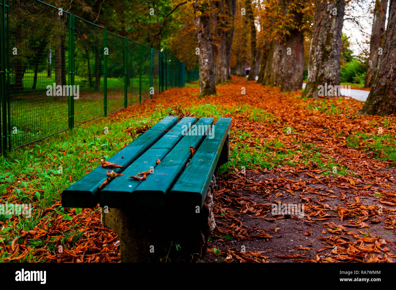 Empty banch covered by leaves in the autumn Stock Photo - Alamy