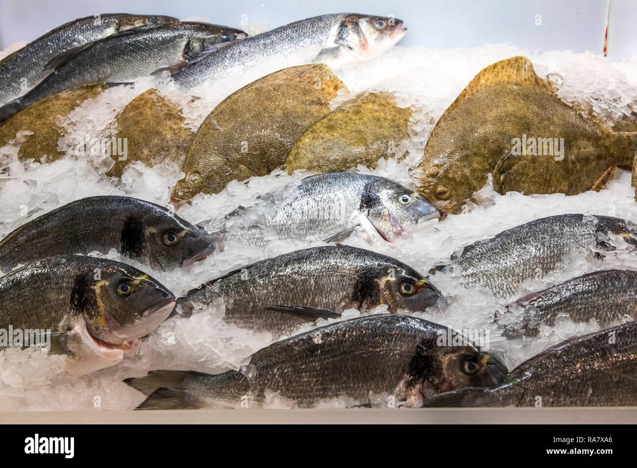 Fish counter ice hi-res stock photography and images - Alamy