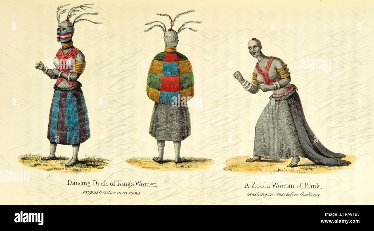 Narrative of a journey to the Zoolu Country, in South Africa undertaken ...