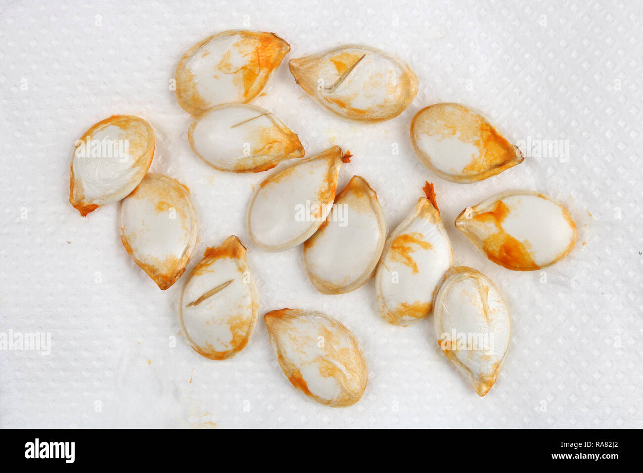 Pumpkin seeds are dried on a paper cloth macro background Stock Photo ...