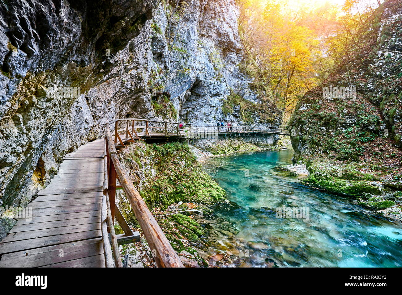 Vintgar Gorge, Triglav National Park, Julian Alps, Slovenia Stock Photo ...