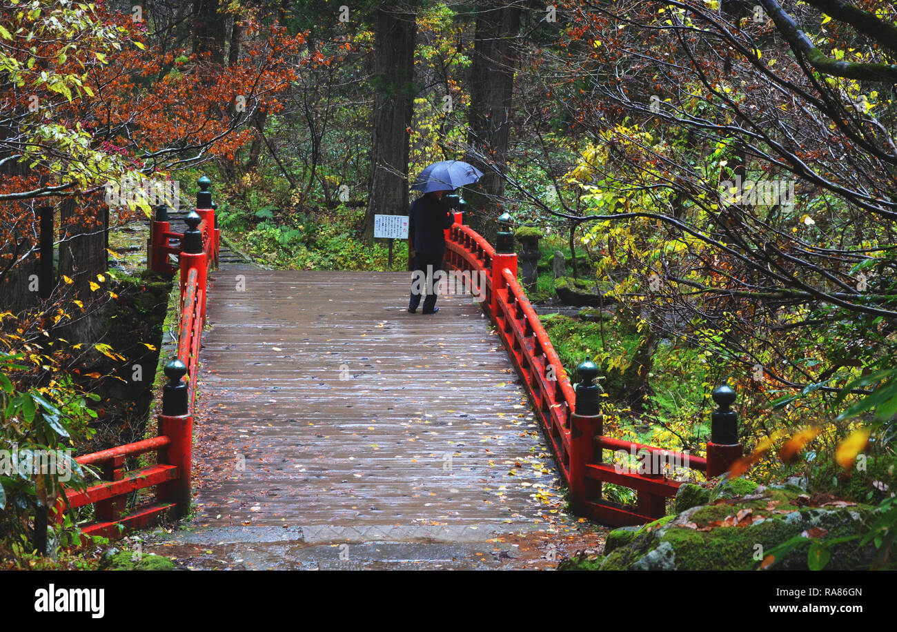 Haguro Mt, Tsuruoka, Japan - November 11, 2018: Visitor walking over ...