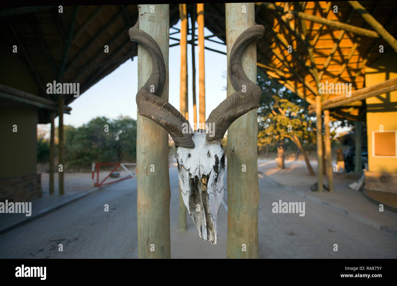 Safari park gate hi-res stock photography and images - Alamy