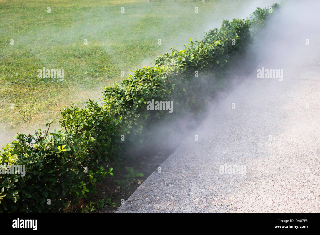 Insecticide spray hi-res stock photography and images - Alamy