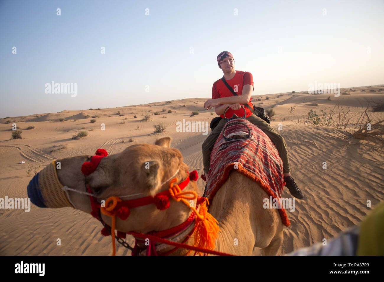 Camel safari in the desert outside Dubai in the United Arab Emirates ...