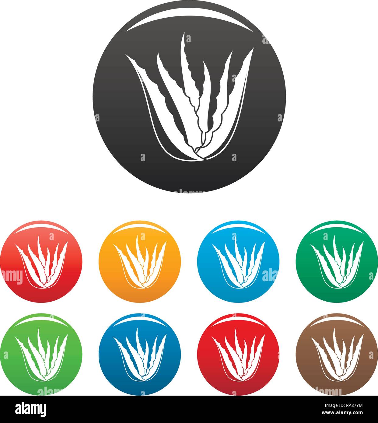 Aloe vera plant icons set 9 color vector isolated on white for any ...