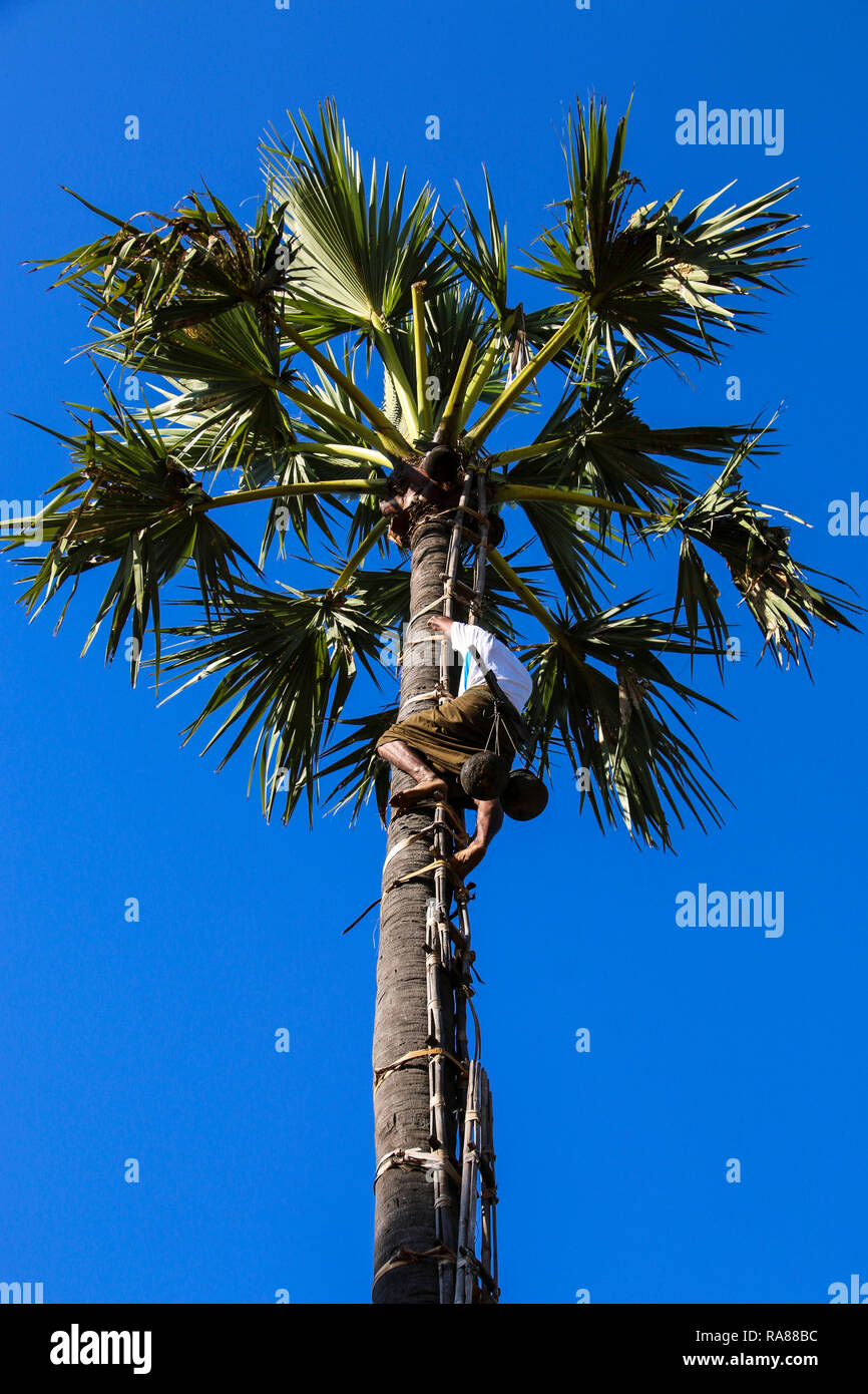 Forest people asia native village hi-res stock photography and images ...