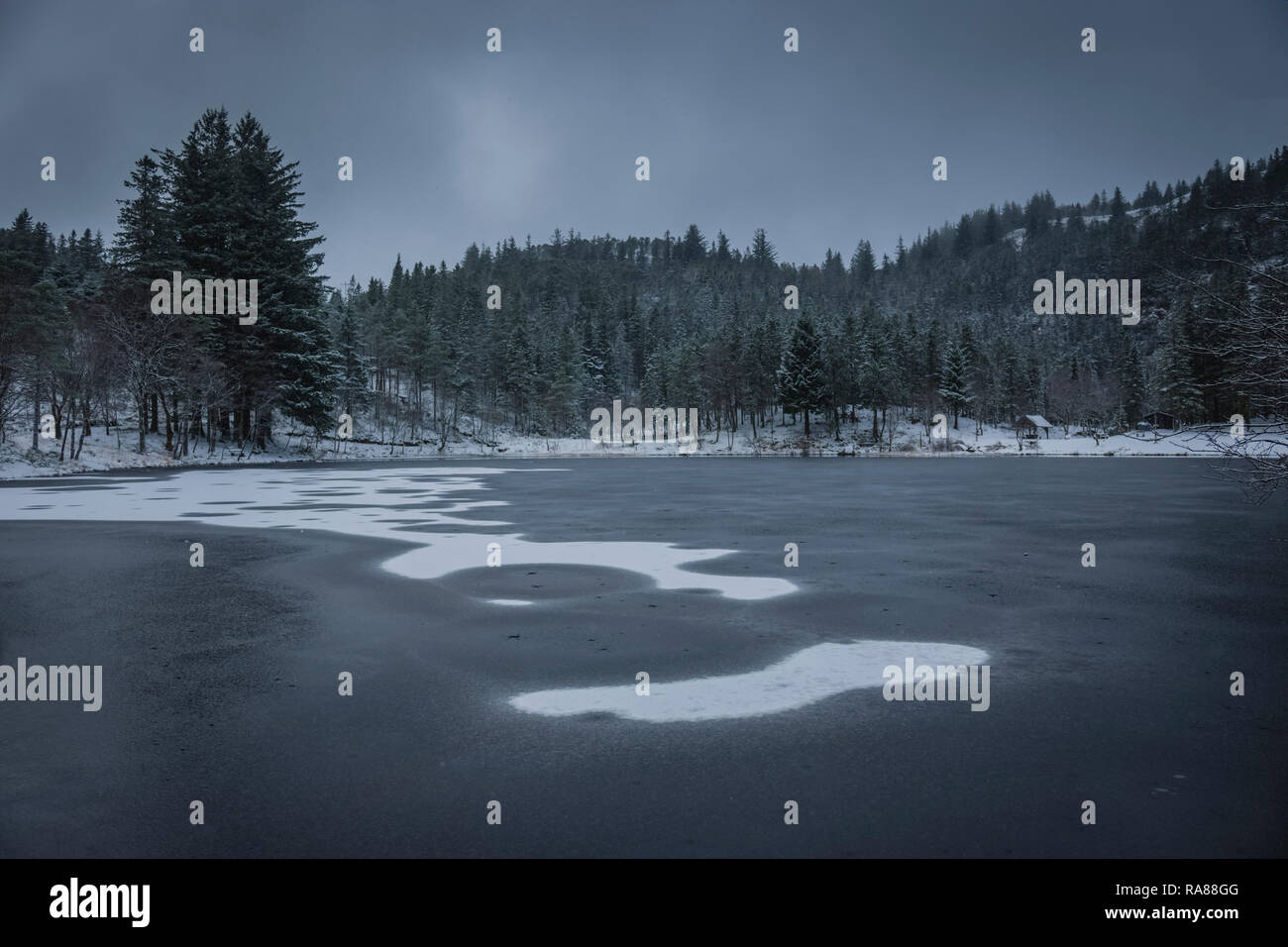 Norway frozen forest hi-res stock photography and images - Alamy
