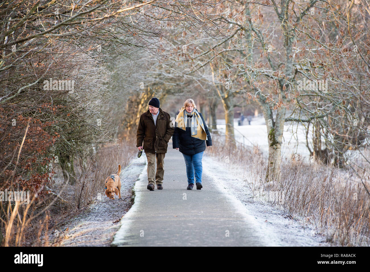 Haylodge Park Old Railway Line, Weather, Frost, River Tweed, Peebles ...