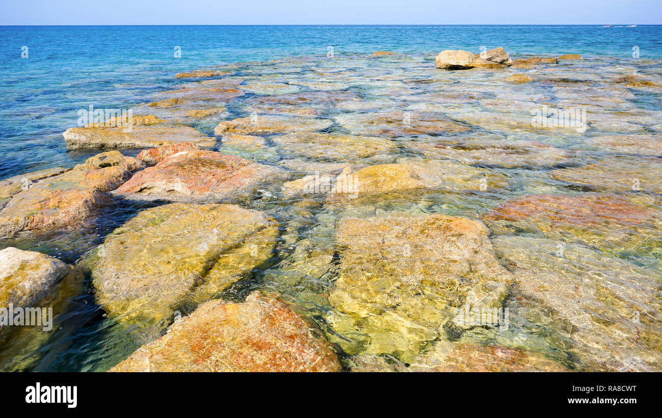 rock on the beach Stock Photo - Alamy
