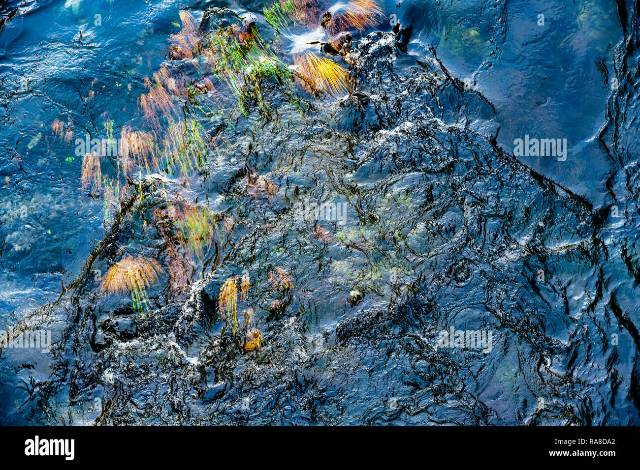 Autumn yellowed grass flooded with clear transparent water of a fast ...