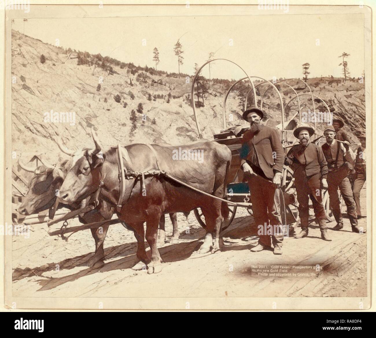 Gold Fever. Prospectors Going to the New Gold Field. Reimagined by ...