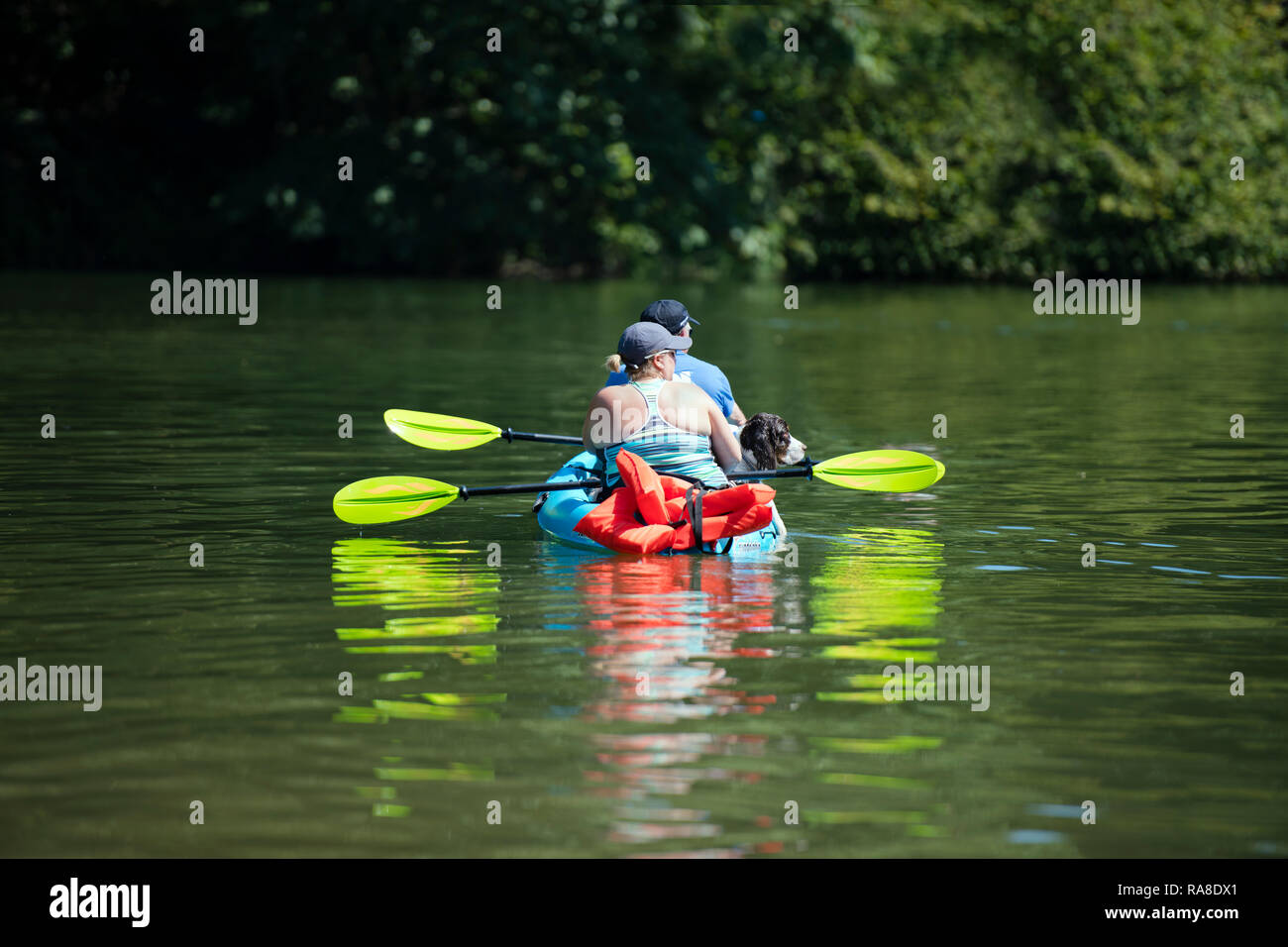 A man and a woman husband and wife with a big dog are kayaking on the ...