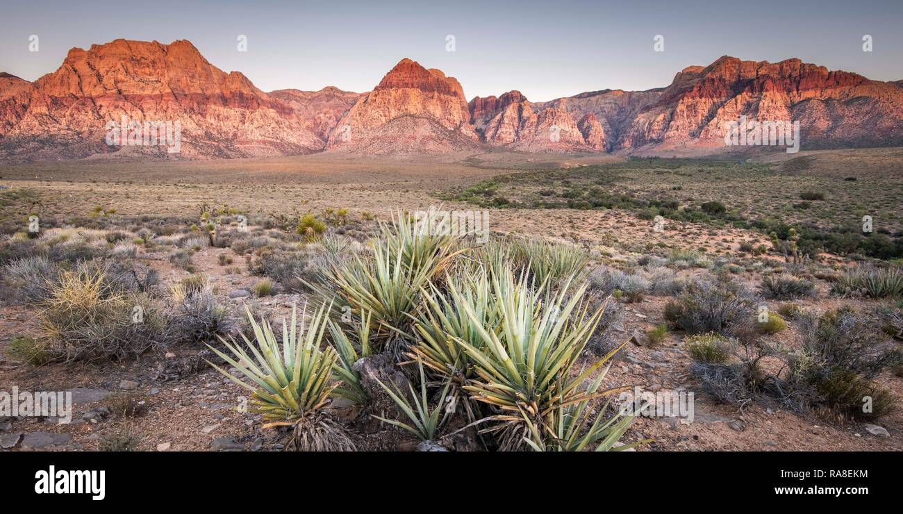Red Rock canyon at sunrise Stock Photo - Alamy