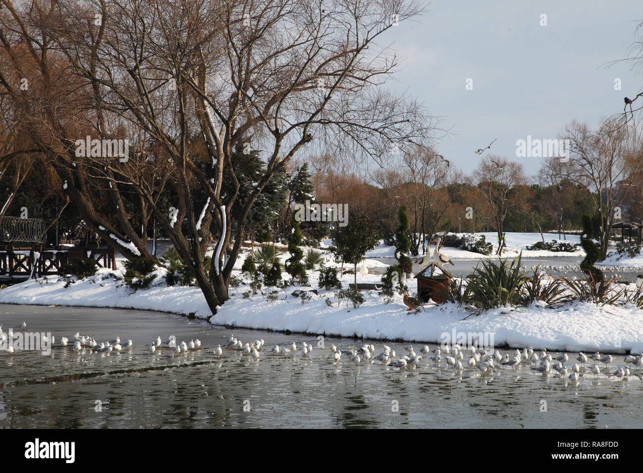 Istanbul snow hi-res stock photography and images - Alamy