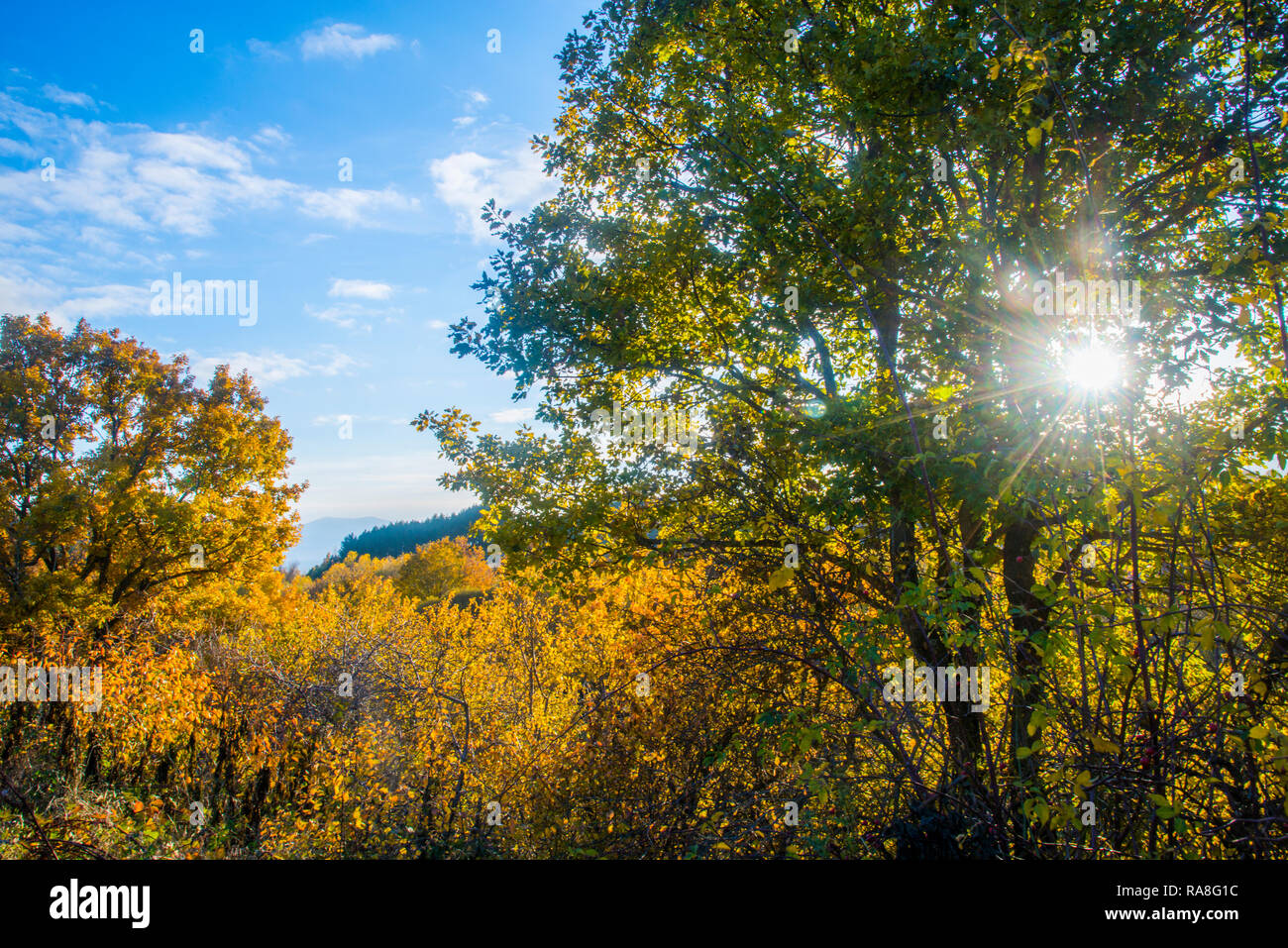 Autumn landscape. Somosierra, Madrid province, Spain Stock Photo - Alamy
