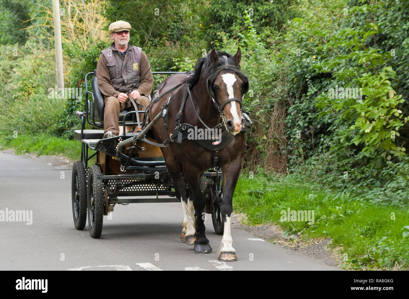 A man enjoying a leisurely ride on a horse-drawn carriage along a ...