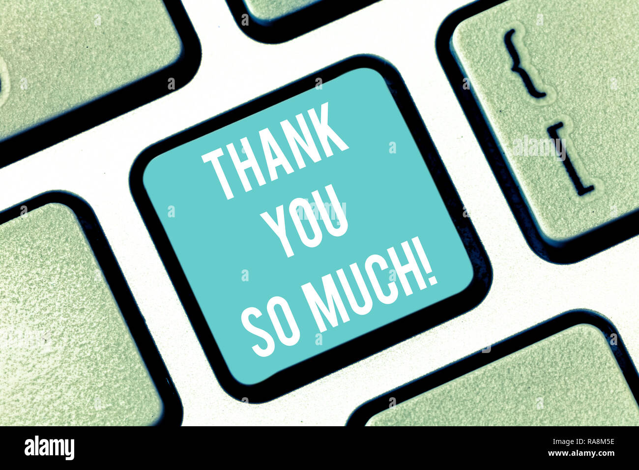 Word writing text Thank You So Much. Business concept for Expression of ...