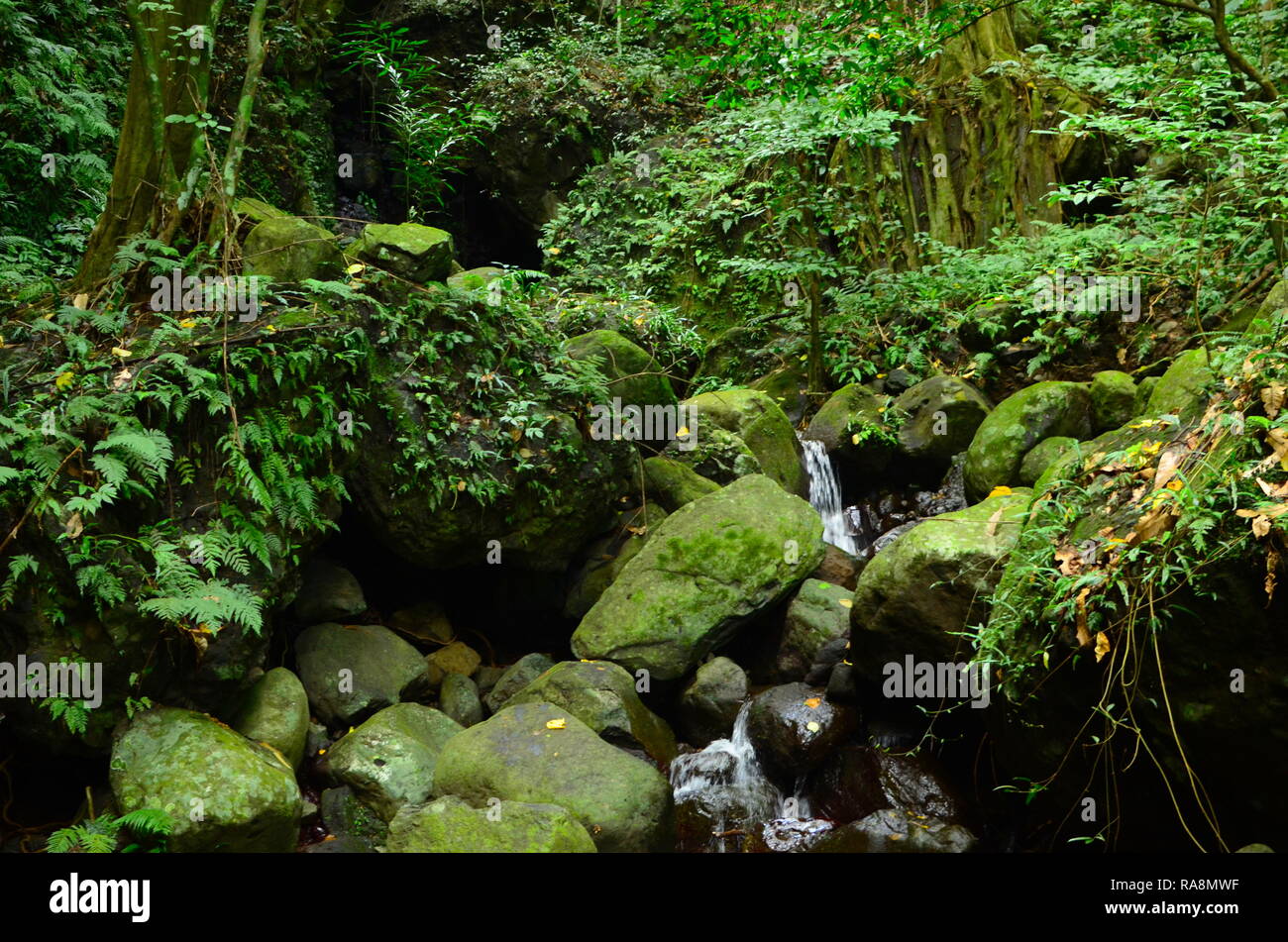 Scrub creek hi-res stock photography and images - Alamy