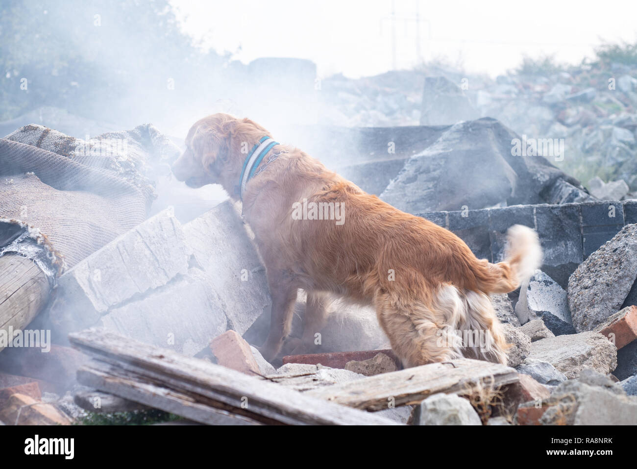 Tornado recovery hi-res stock photography and images - Alamy