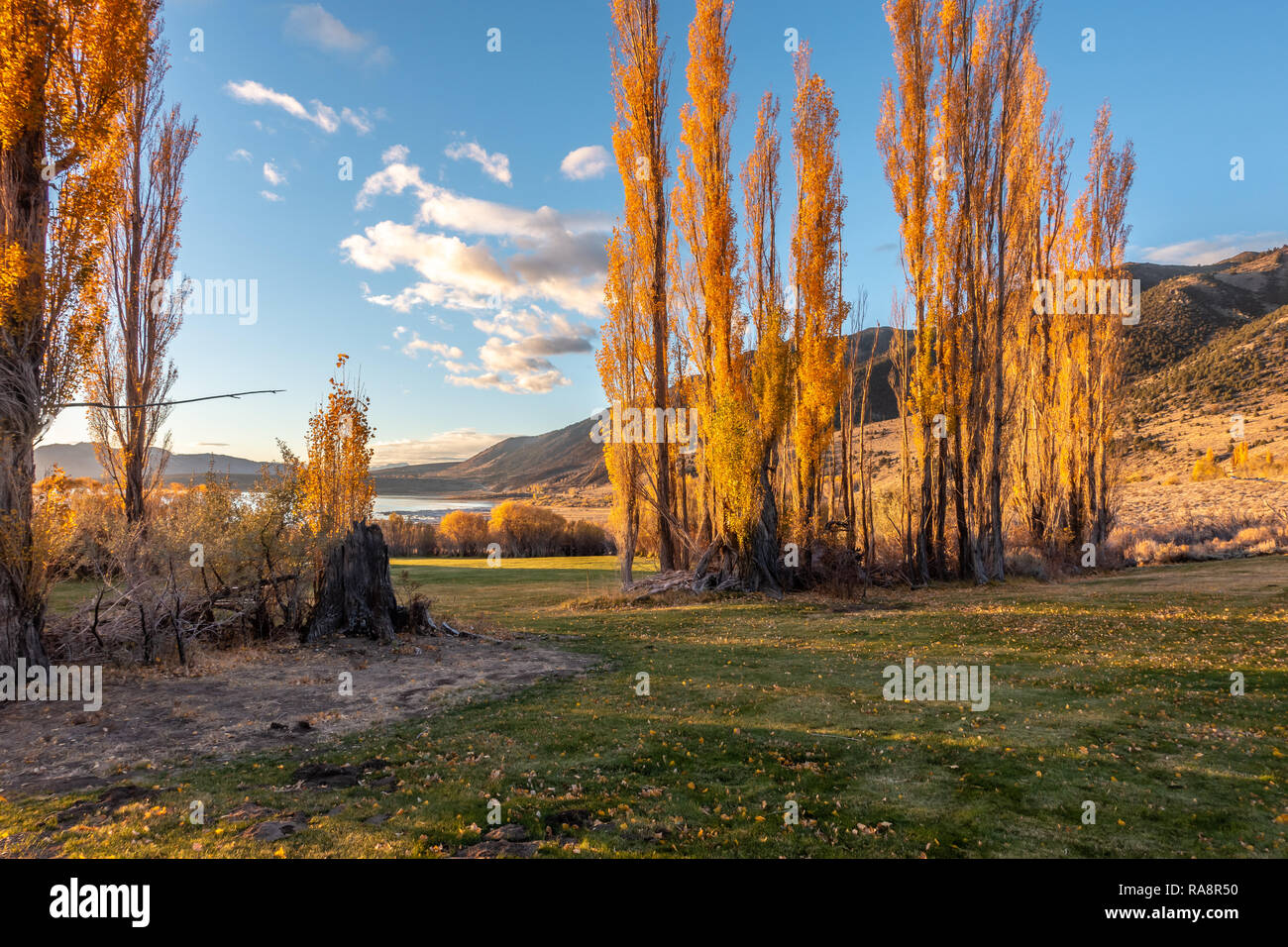 Eastern Sierra Fall Colors, Mono Lake, Lee Vining, California Stock ...