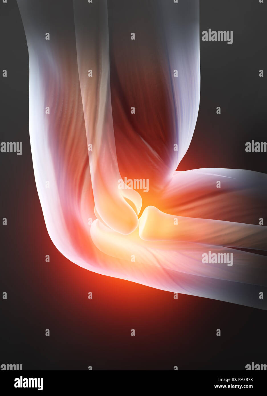 Elbow joint hi-res stock photography and images - Alamy
