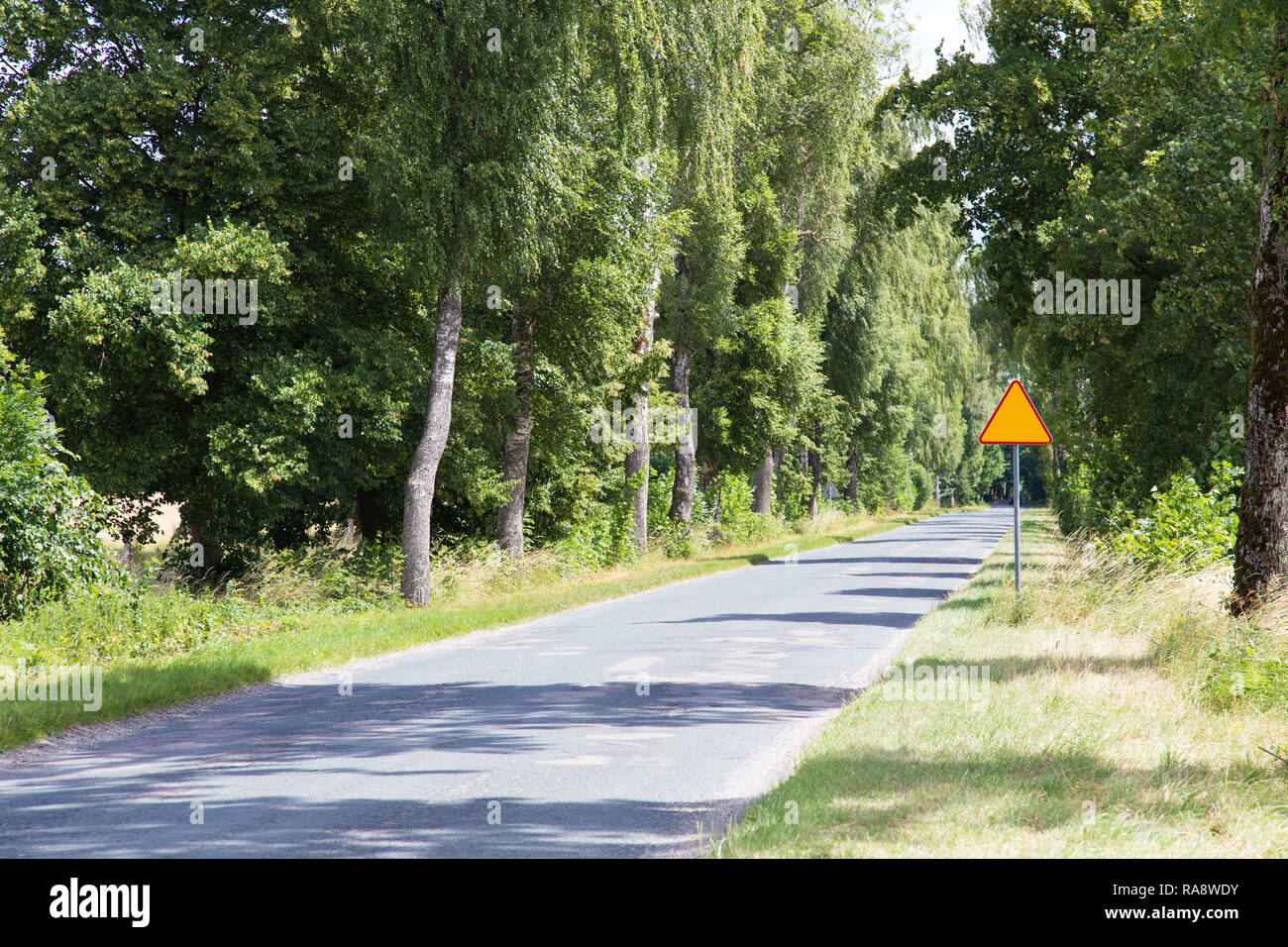 Blank road sign standing on the roadside. Empty street ahead Stock ...