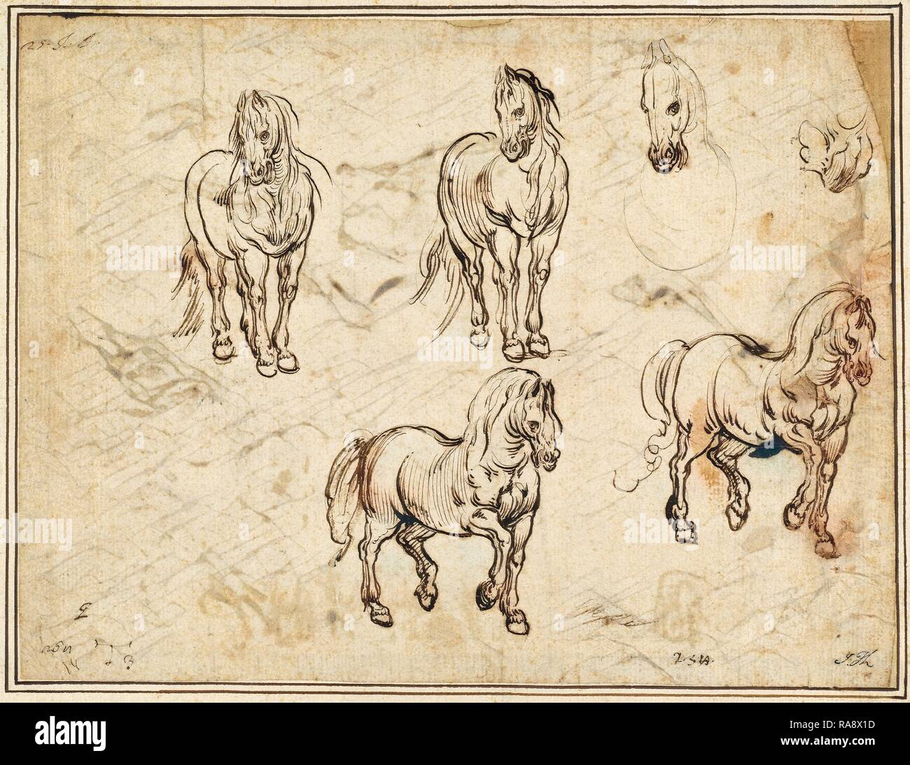 Jacques Callot after Antonio Tempesta, Studies of Horses [recto ...