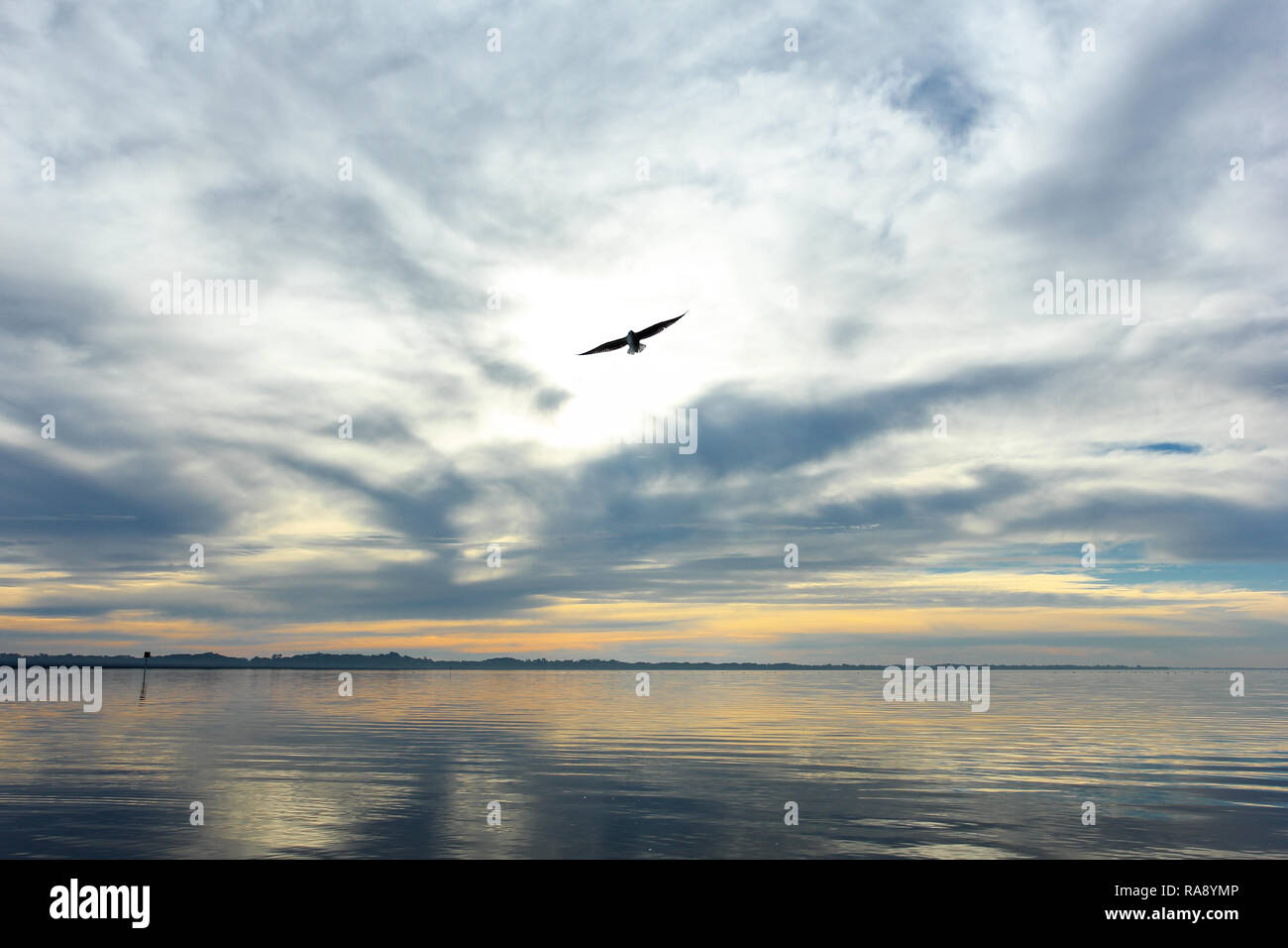 Australind beach hi-res stock photography and images - Alamy