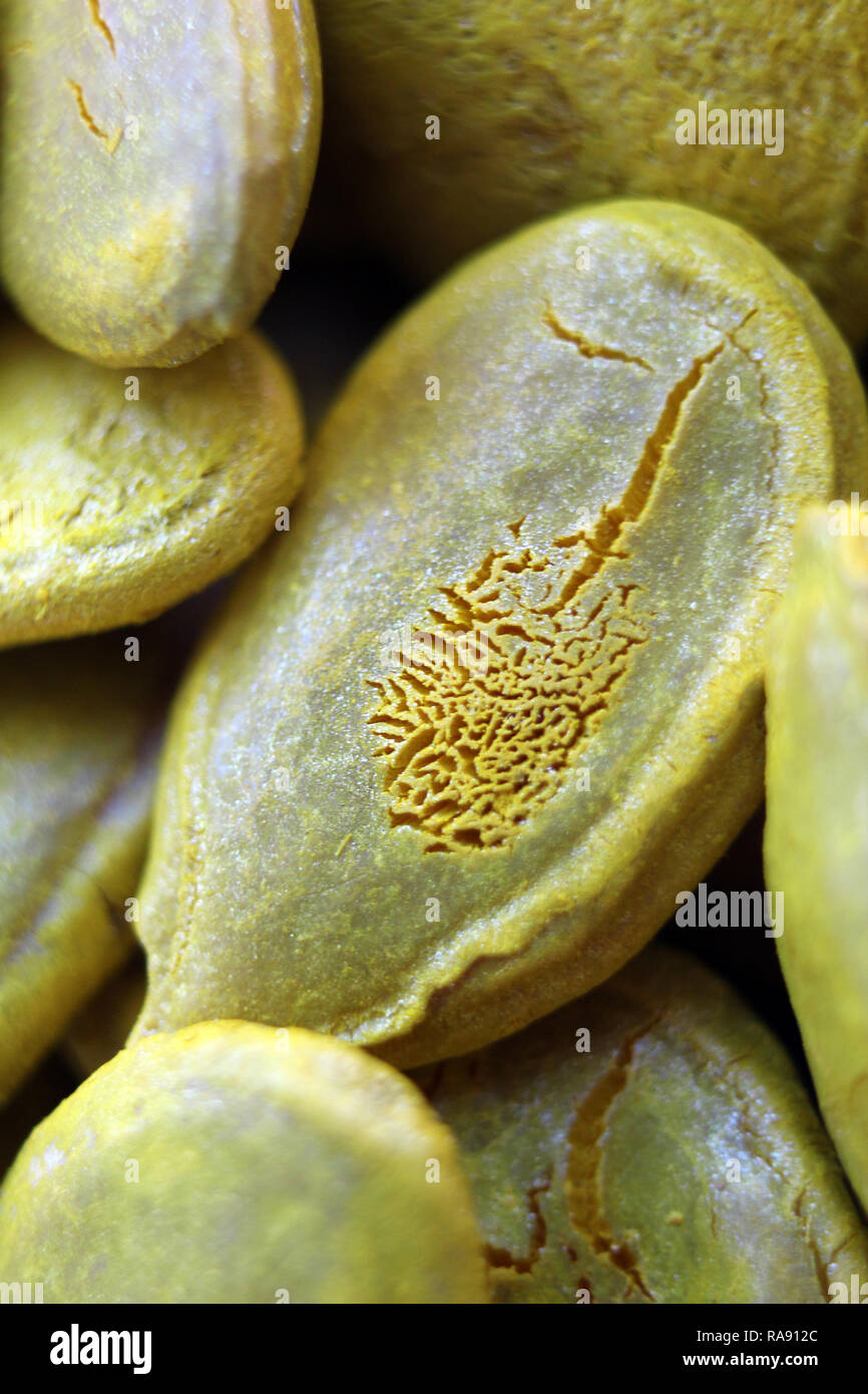 Pumpkin seeds, close up Stock Photo - Alamy