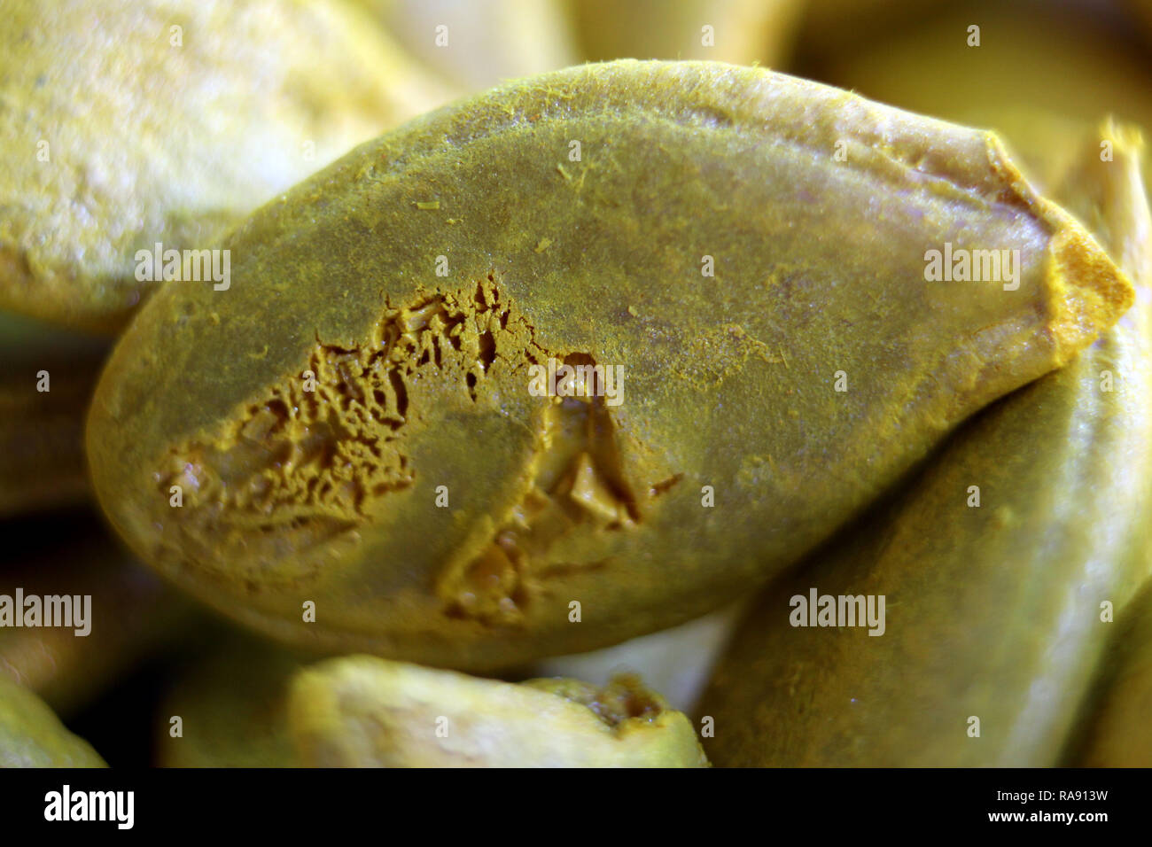 Pumpkin seed, close up Stock Photo - Alamy
