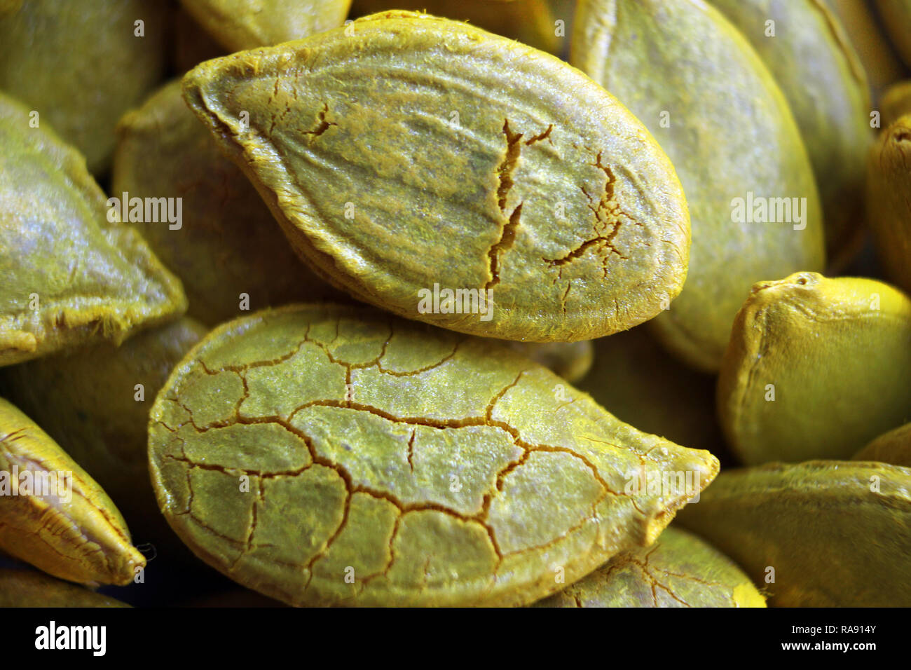 Modified seeds hi-res stock photography and images - Alamy
