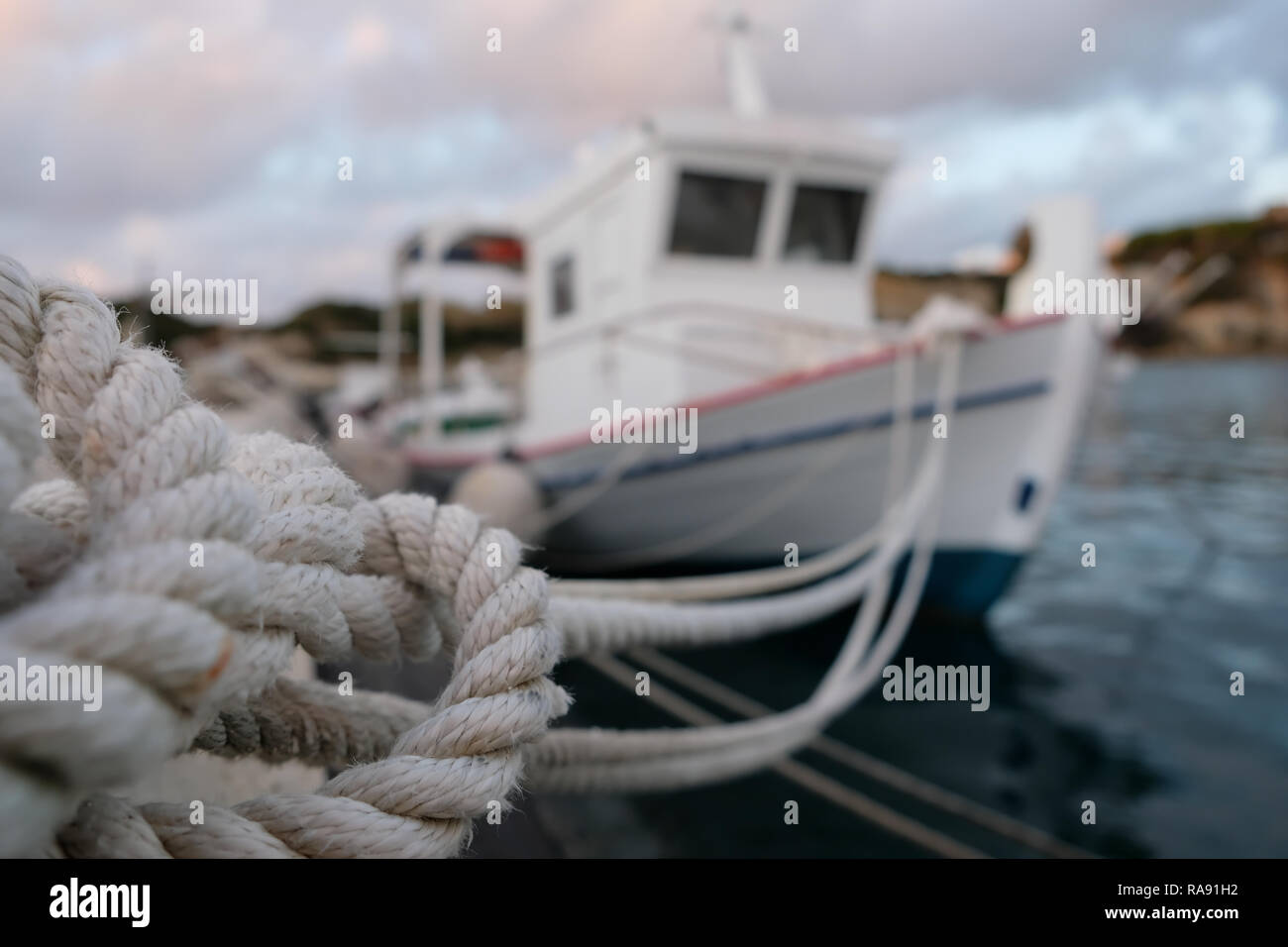 Ionian sea fish hi-res stock photography and images - Alamy