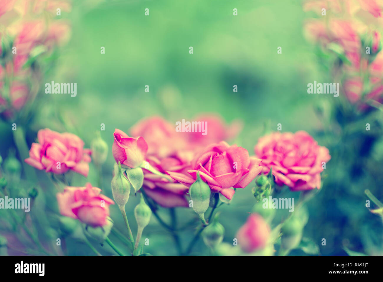 Retro filters hi-res stock photography and images - Alamy