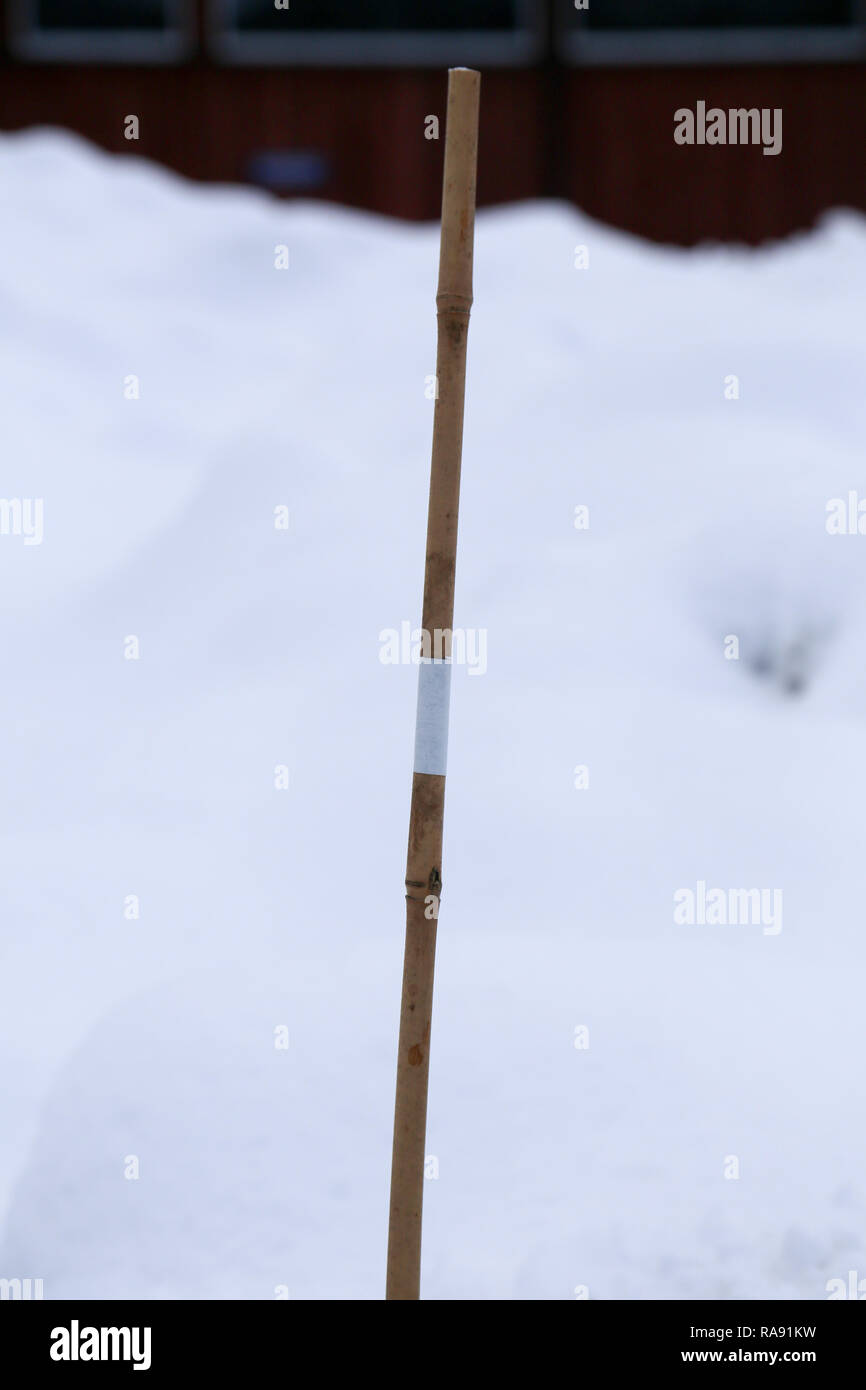 Wooden depth stick in snow Stock Photo - Alamy