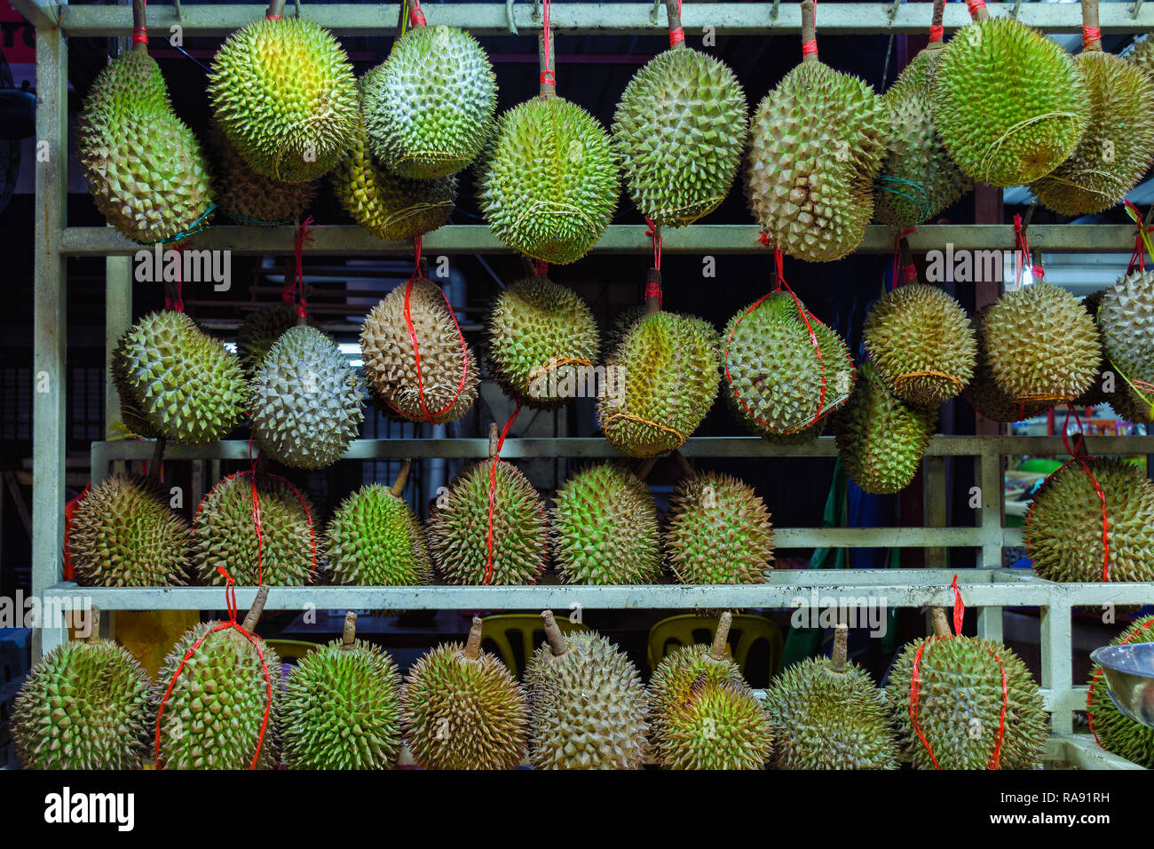 King Fruit Of Malaysia at Koby Rawling blog