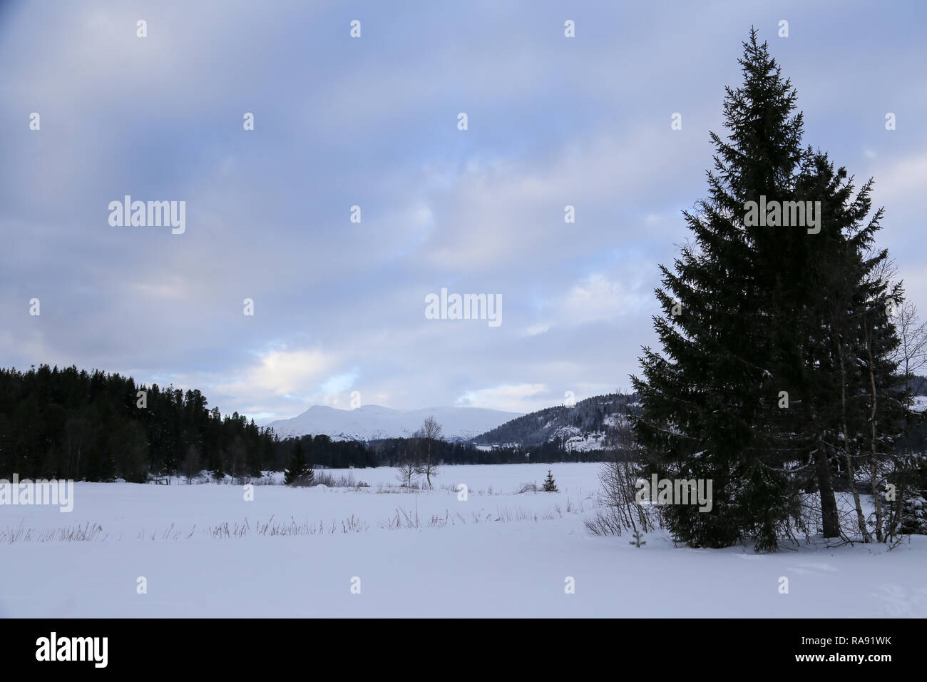 Norwegian mountain and lake snow scene Stock Photo - Alamy