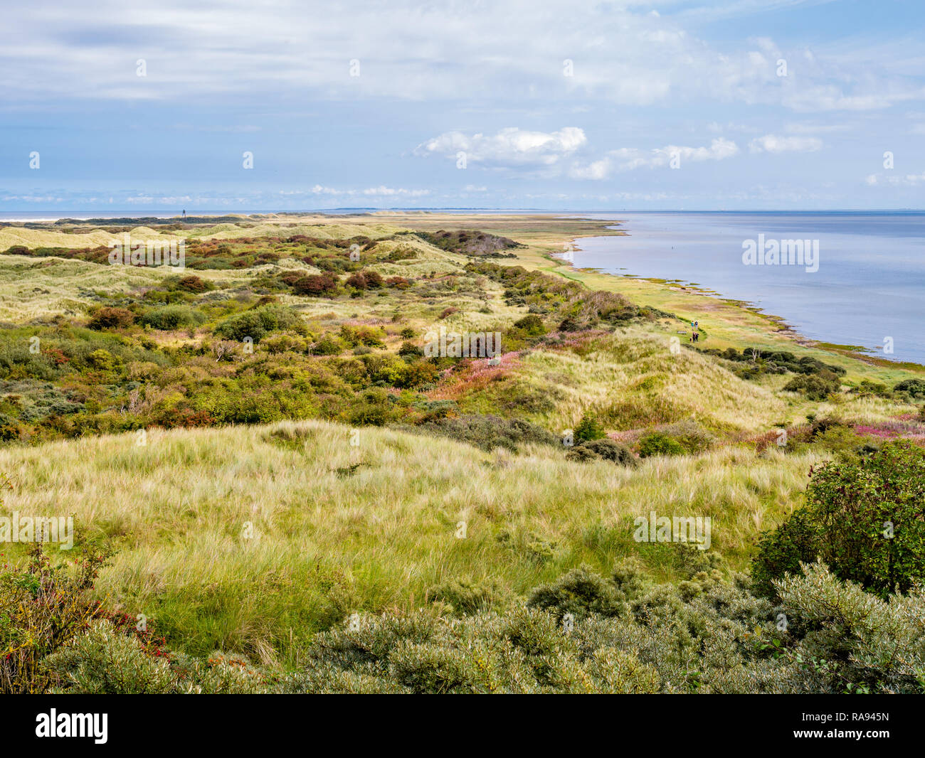 West coast nature reserve hi-res stock photography and images - Alamy