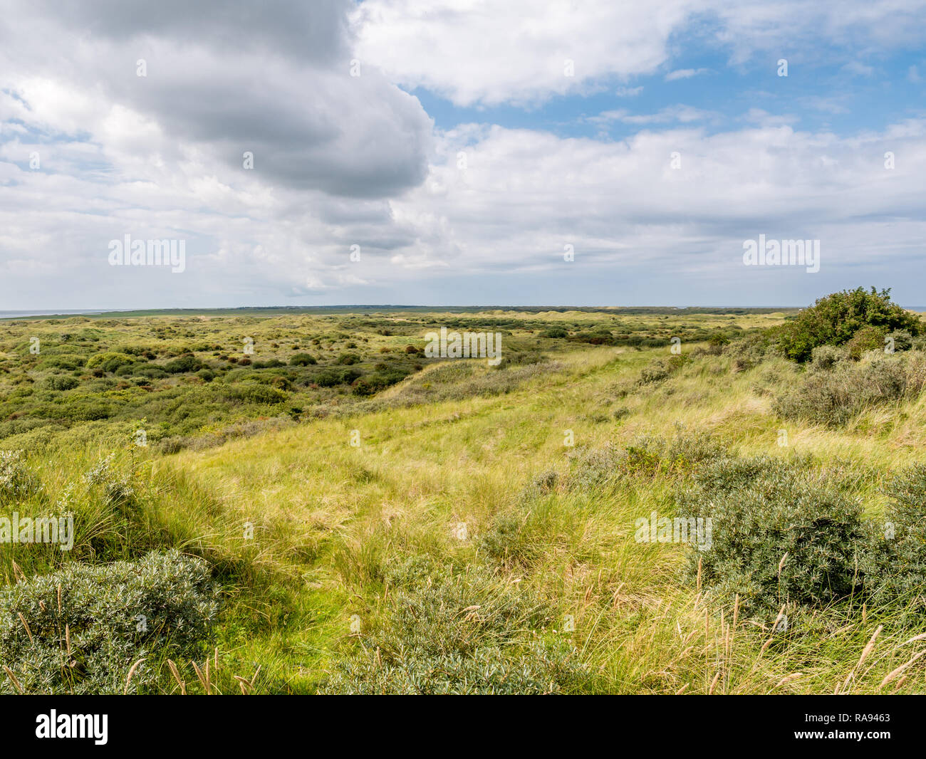 Het oerd west frisian island ameland hi-res stock photography and ...