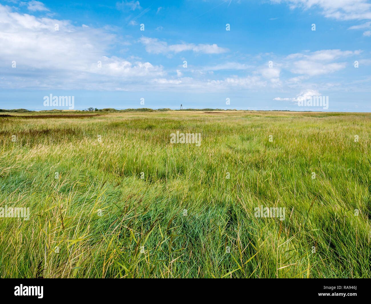 Salt marshes and wooden beacon in nature reserve Het Oerd on West ...