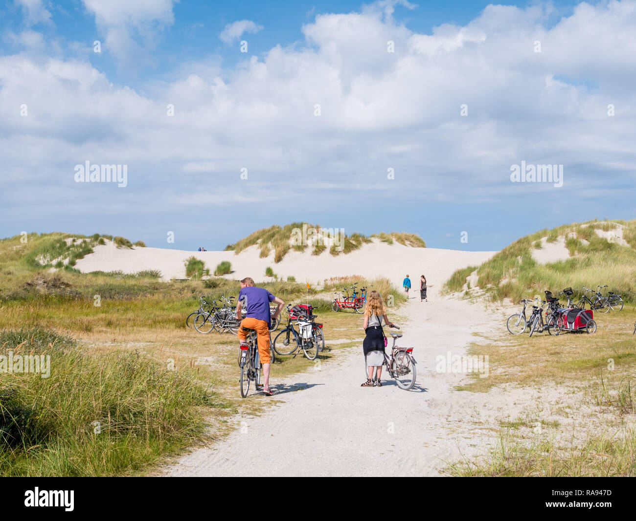 People with bicycles in dunes in nature reserve Het Oerd on West ...