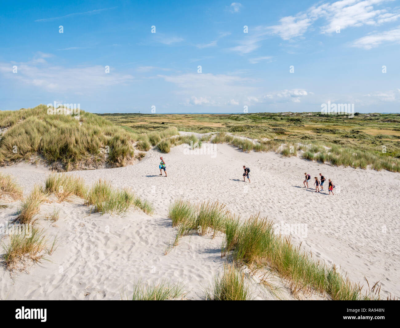 Panorama of dune landscape with people walking in nature reserve Het ...