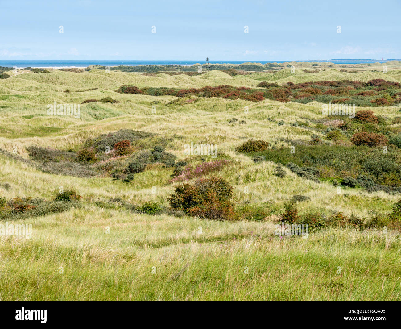 North holland dune reserve hi-res stock photography and images - Alamy