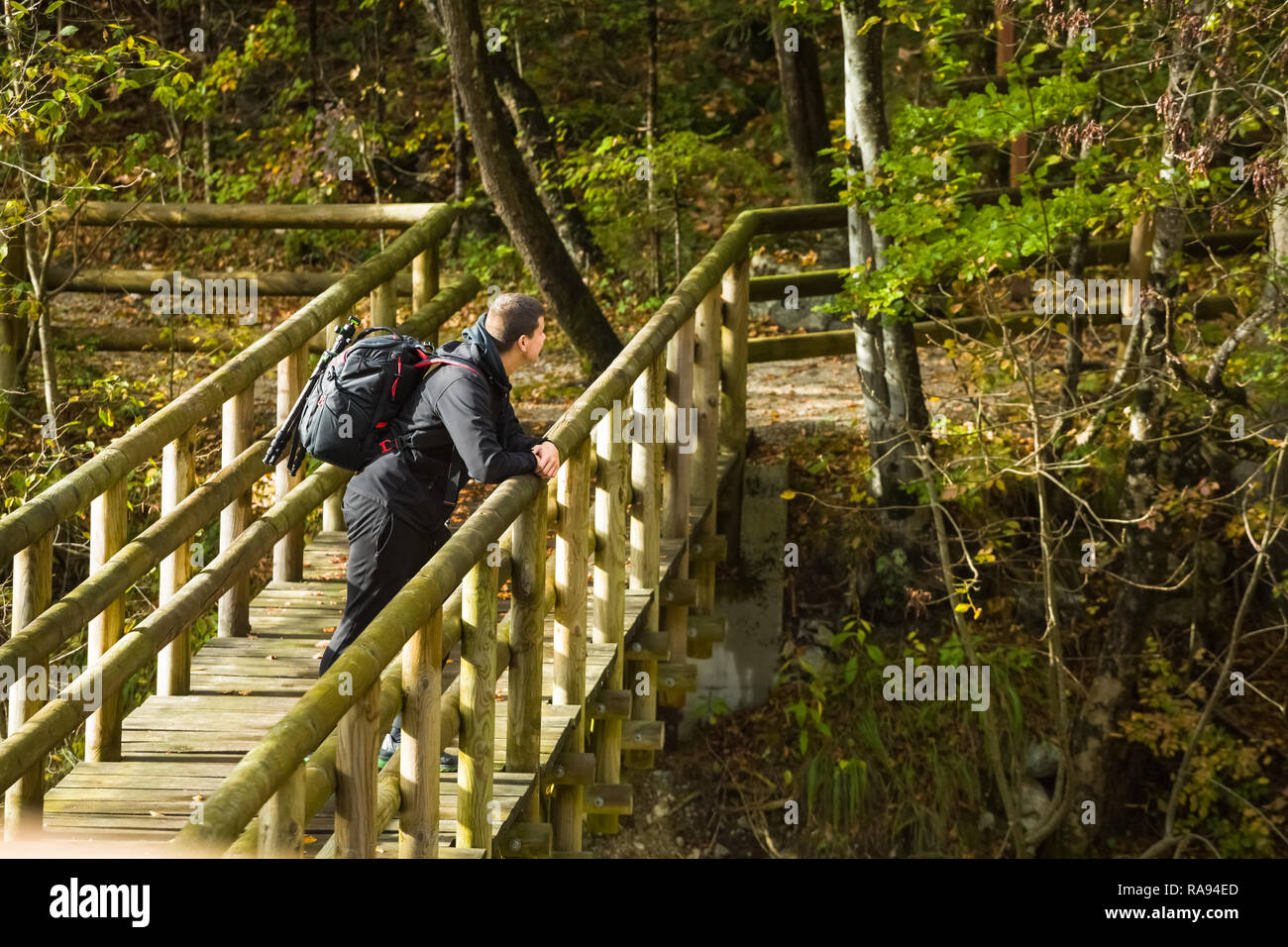 Observing nature hi-res stock photography and images - Alamy
